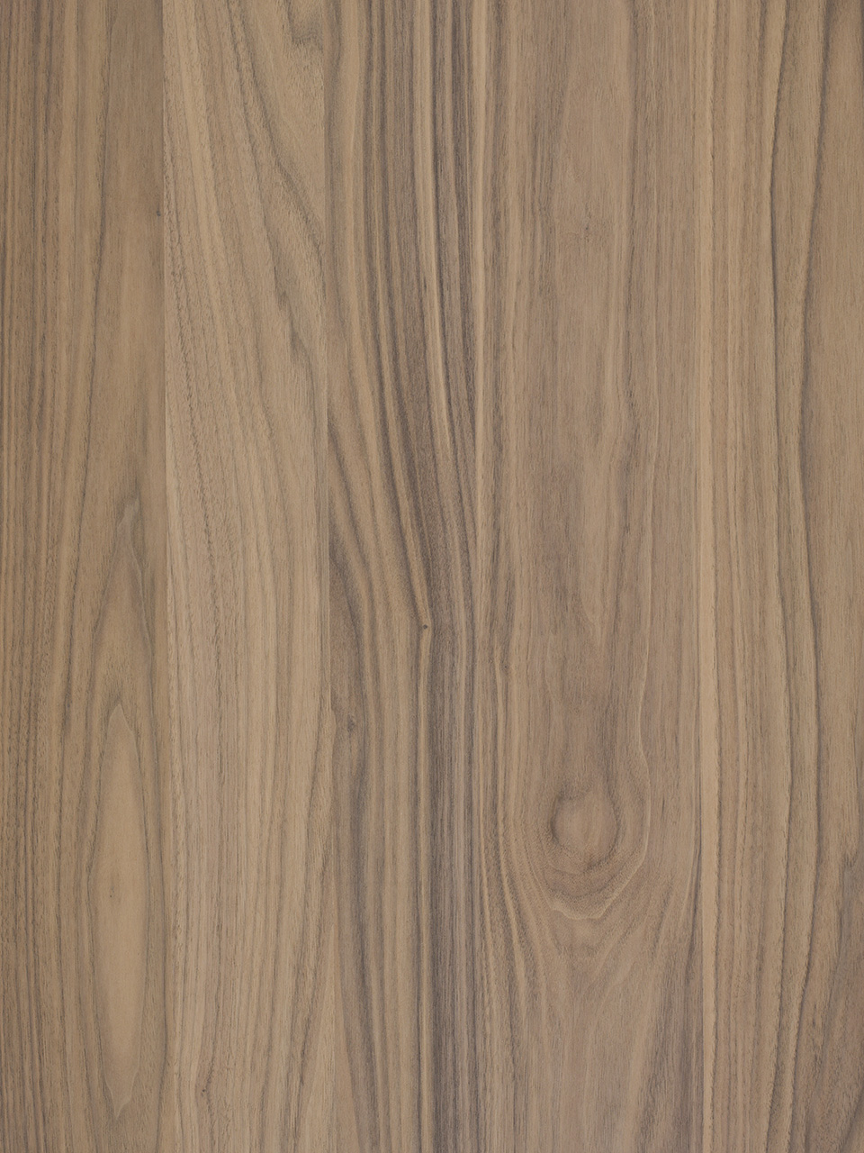 SHINNOKI Frozen Walnut A/A 2790/1240/19 | Démos trade a.s.